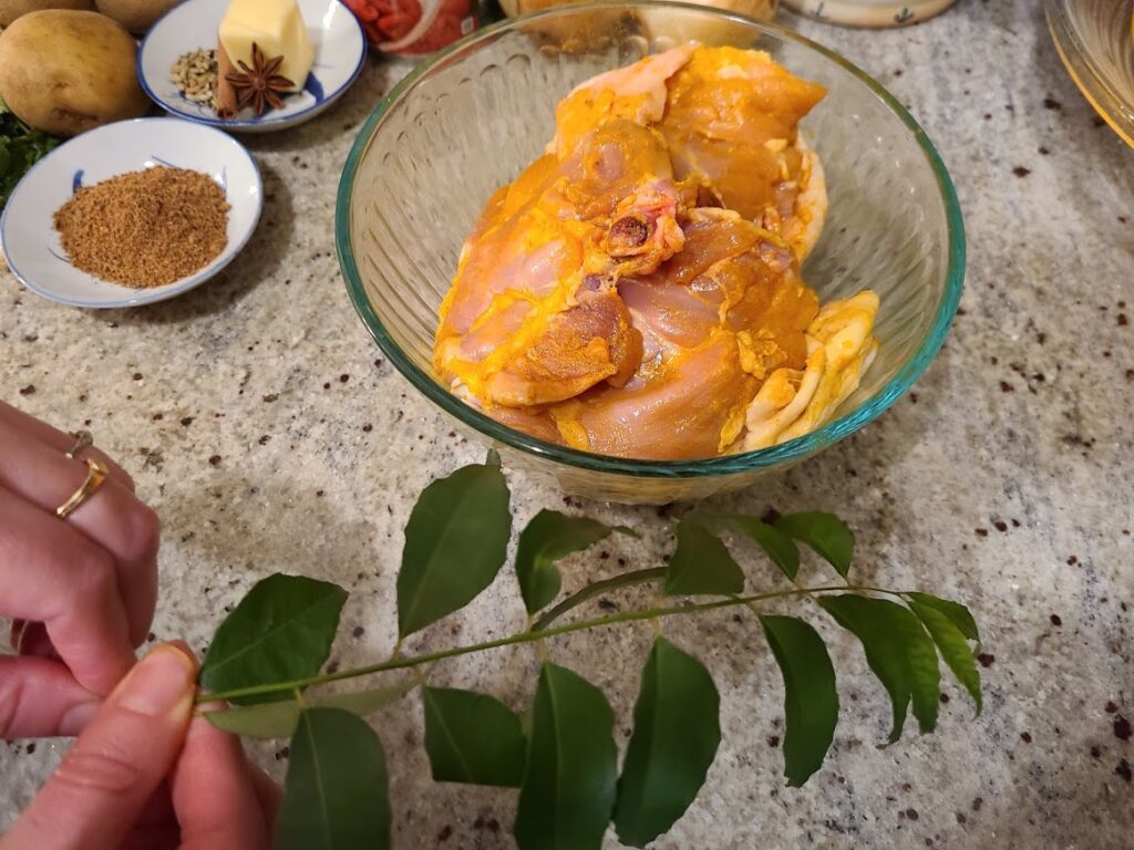 Fijian Chicken Curry – Cooking With Alisa